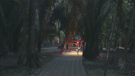 RGB Forest – Experiential Ideas